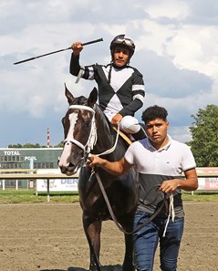 Love in the Air - Horse Profile - BloodHorse