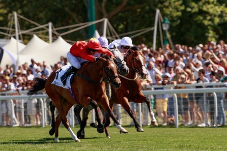 Highfield Princess (FR) - Horse Profile - BloodHorse