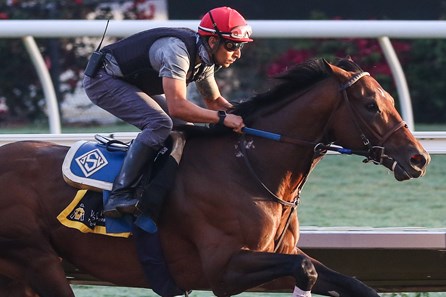 Flightline - Horse Profile - BloodHorse