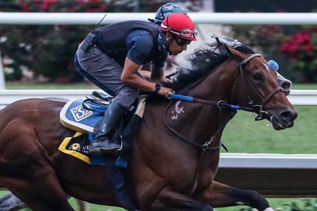 Flightline - Horse Profile - BloodHorse