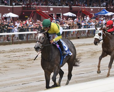 Maple Leaf Mel - Horse Profile - BloodHorse