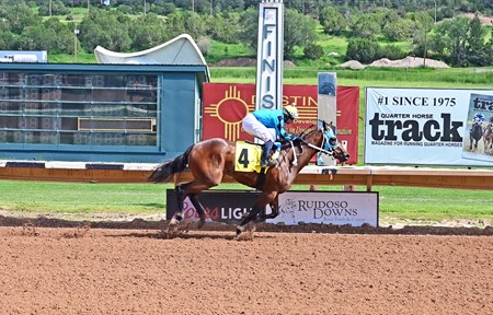 Storm Leader - Horse Profile - BloodHorse