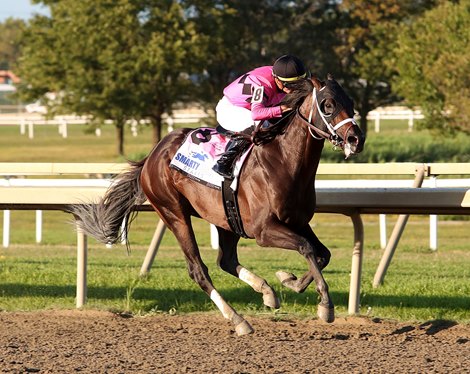 Best Actor Puts On Dazzling Show in Smarty Jones - BloodHorse