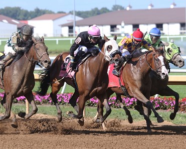 Secret Sadie - Horse Profile - BloodHorse