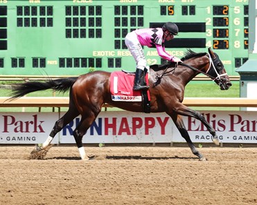 Jet Setting - Horse Profile - BloodHorse