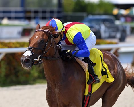 New Entries in July Selected Horses of Racing Age Sale - BloodHorse