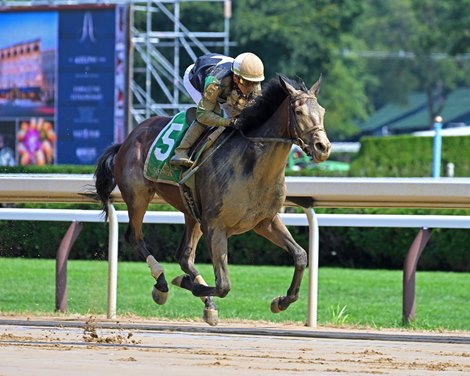 Saratoga Notebook: Party Still Going After Albany Win - BloodHorse
