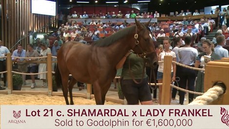 Arqana August Yearling Sale Day 1 - Video - - BloodHorse