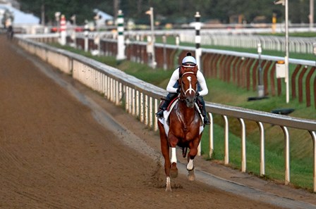 Rich Strike - Horse Profile - BloodHorse