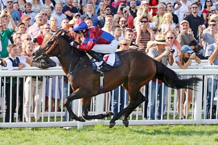 Dubawi Legend (IRE) - Horse Profile - BloodHorse