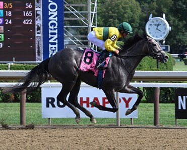 Maple Leaf Mel - Horse Profile - BloodHorse