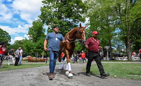 Rich Strike - Horse Profile - BloodHorse