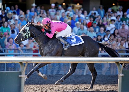 You're the Cause - Horse Profile - BloodHorse