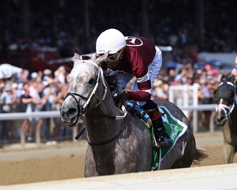 Saratoga Notebook: Echo Again Impresses in Debut - BloodHorse