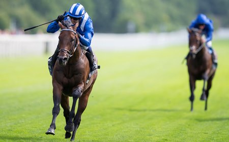 Champions Stakes the Finale for Baaeed - BloodHorse