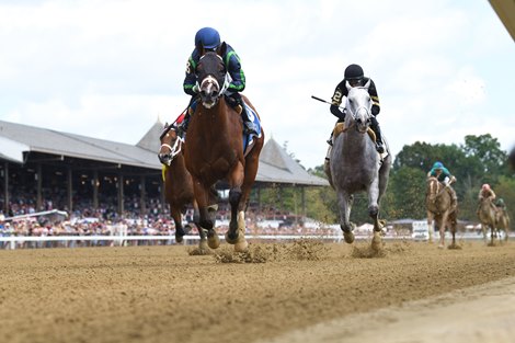 Saratoga Notebook: Verifying Impressive in Career Debut - BloodHorse