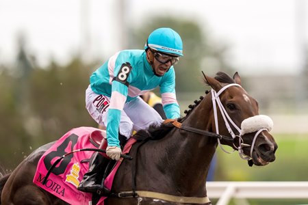 First Leg of Canadian Triple Crown Renamed King's Plate - TrueNicks.com