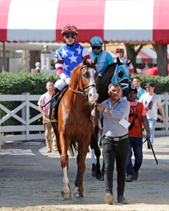 Jack Christopher - Horse Profile - BloodHorse