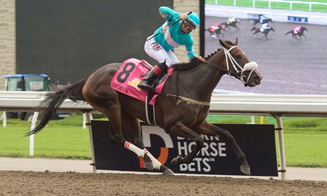 Canadian Star Moira Tests Turf, Elders in E.P. Taylor - BloodHorse