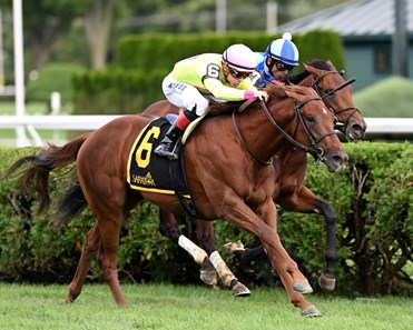 Inflation Nation (IRE) - Horse Profile - BloodHorse