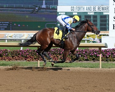 Count de Monet - Horse Profile - BloodHorse