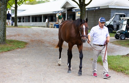 Union Rags - Horse Profile - BloodHorse