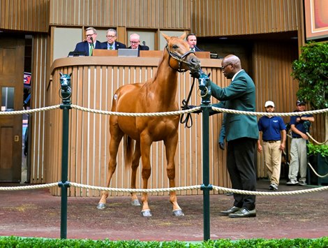 Partnership Goes to $1.15M for Gun Runner Colt - BloodHorse