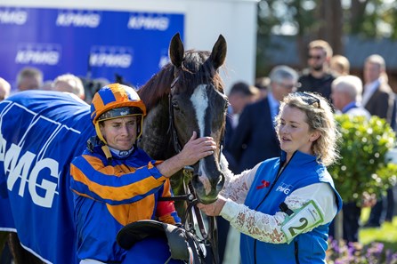 Auguste Rodin (IRE) - Horse Profile - BloodHorse
