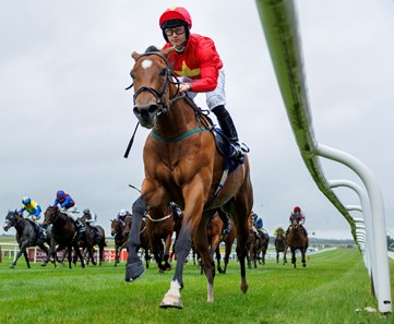 Highfield Princess (FR) - Horse Profile - BloodHorse