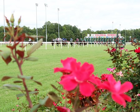 Stage Set for Colonial Downs' Grandest Meet Ever - BloodHorse