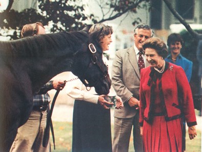 Round Table - Horse Profile - BloodHorse