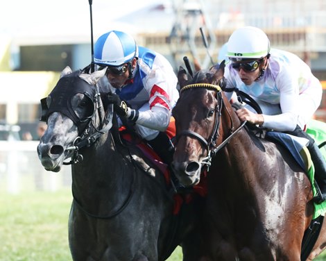 American Freedom Sires First Stakes Winner - BloodHorse