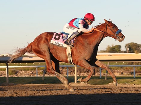 Taiba Cracks NTRA Top 10 With Pennsylvania Derby Win - BloodHorse