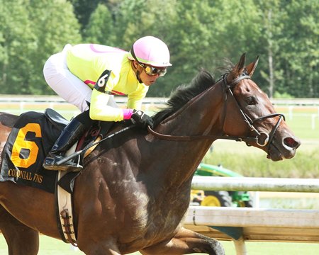 Battle Bling Ready to Fight in Turnback the Alarm - BloodHorse