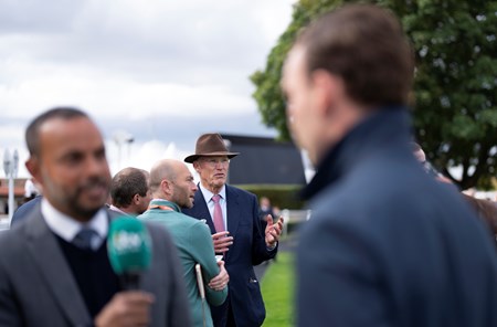 Commissioning (GB) - Horse Profile - BloodHorse