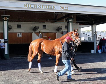 Rich Strike - Horse Profile - BloodHorse