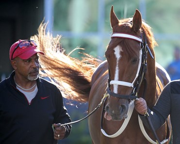 Rich Strike - Horse Profile - BloodHorse