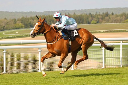 Super Superjack Ruled Out of Cesarewitch - BloodHorse