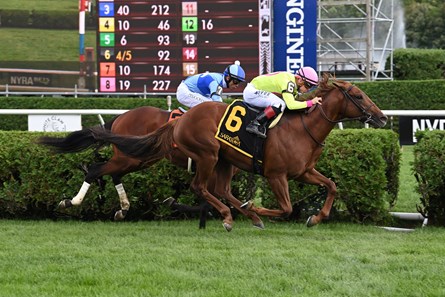 Inflation Nation (IRE) - Horse Profile - BloodHorse