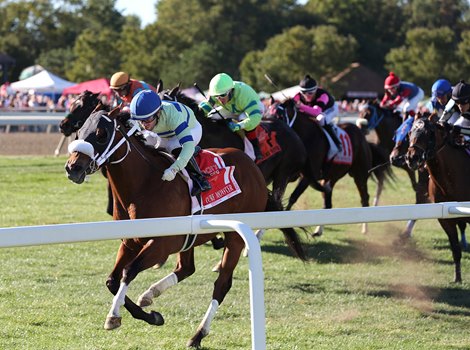 That's Right Takes Them All the Way in Turf Monster - BloodHorse