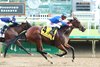 X Y Jet Brilliant in Sunshine Millions Sprint - BloodHorse