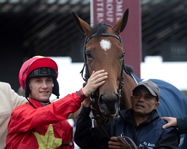 Highfield Princess (FR) - Horse Profile - BloodHorse