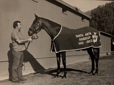John Henry - Horse Profile - BloodHorse