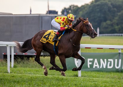 Kitodan - Horse Profile - BloodHorse