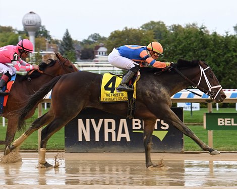 Chocolate Gelato a Sweet Runner for Practical Joke - BloodHorse