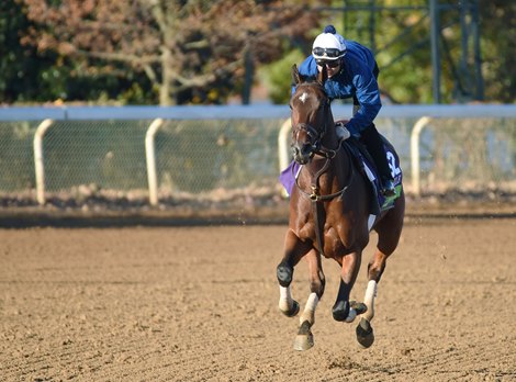 Domestic Spending Takes a Shot at History in BC Mile - BloodHorse