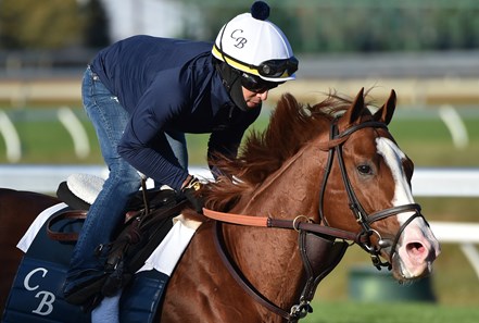 Jack Christopher - Horse Profile - BloodHorse
