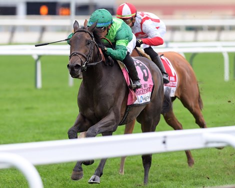 Brant Captures the Waya with Rocky Sky at the Big A - BloodHorse