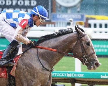 Hoosier Philly - Horse Profile - BloodHorse