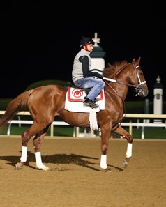 Rich Strike - Horse Profile - BloodHorse